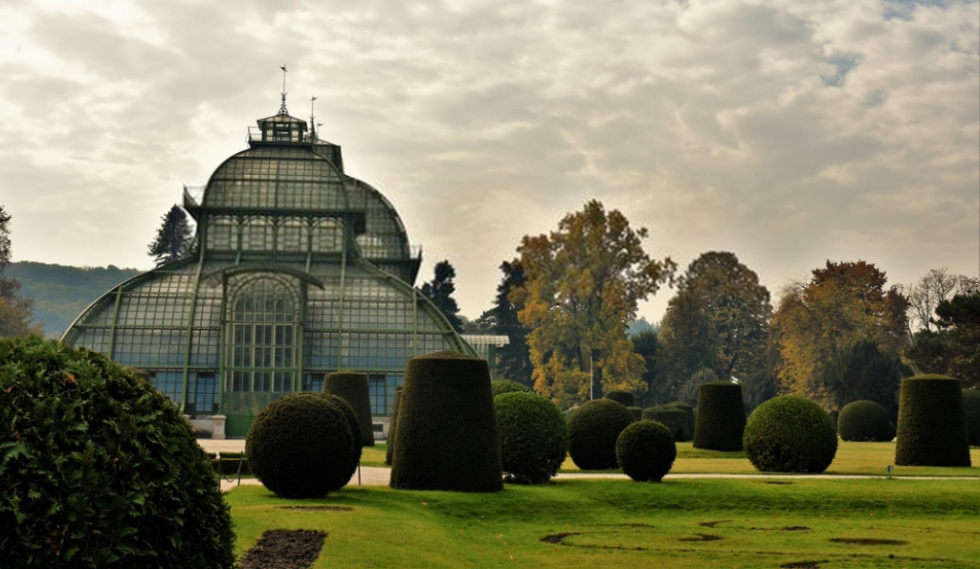 Calabasas | Environmental Tree Care