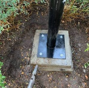 Tree Bracing | Environmental Tree Care